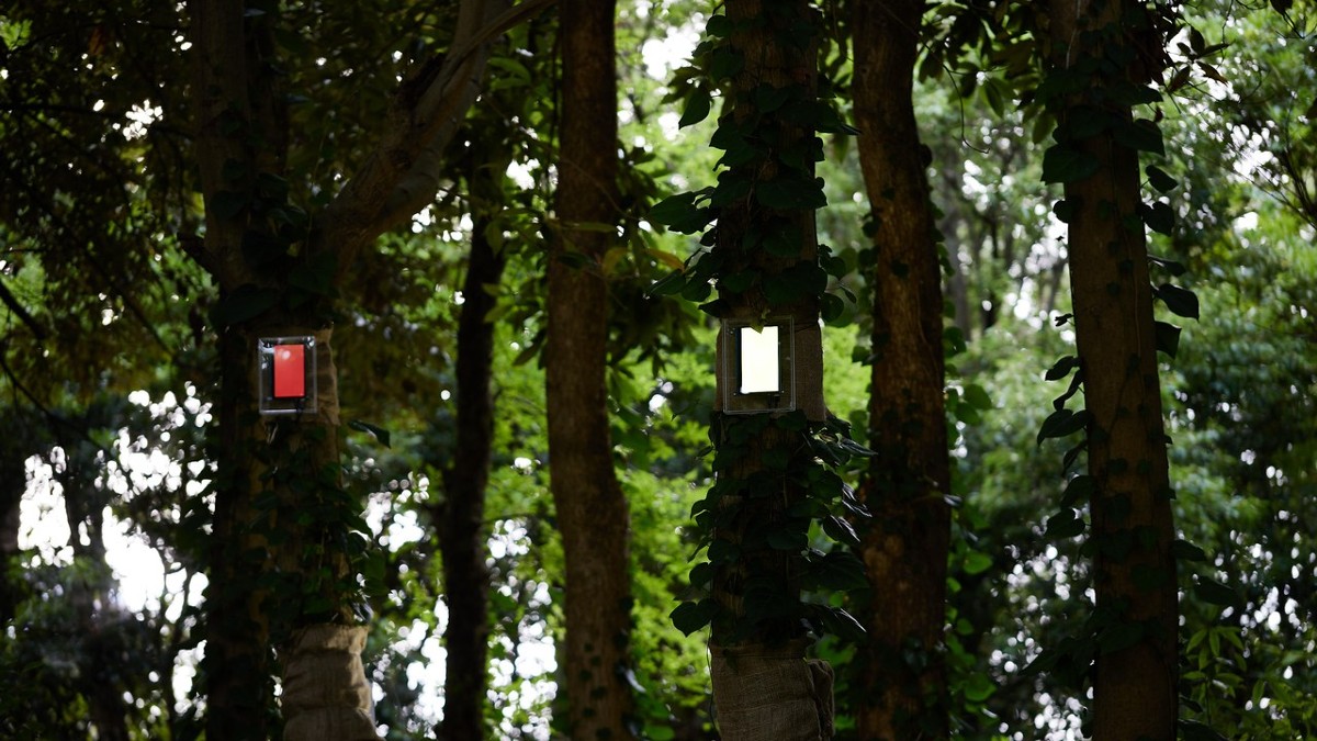 ICC | 《The View from Nowhere》 - ALTERNATIVE MACHINE (2022)